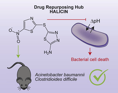 Deep Learning Algorithms Discover Potent New Antibiotics - Gowing Life